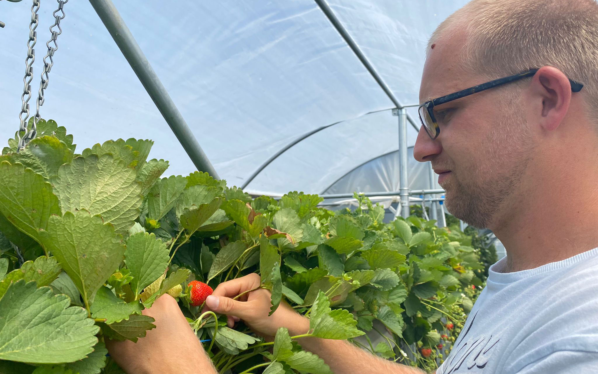 More fruit, more energy | BFH