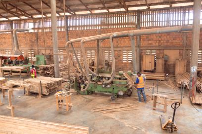 How we support the timber industry in Ghana | BFH
