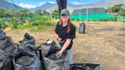 Researcher Diary: Biochar and cocoa productionn | BFH HPCI