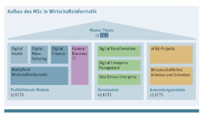 Master Wirtschaftsinformatik | BFH