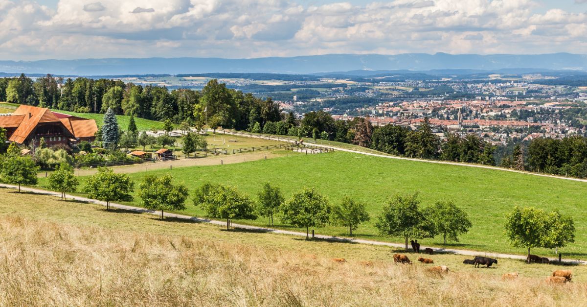 BFH-HAFL gibt Impuls für Berns Nachhaltigkeit