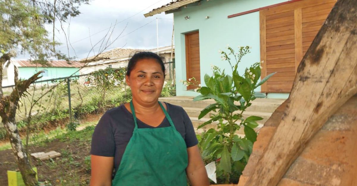 Covid-19 pandemic Coffee sector| BFH
