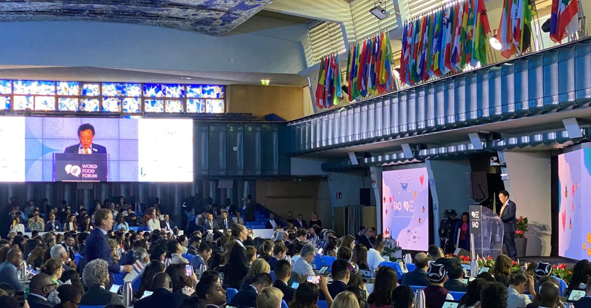 HAFL returns to Rome | BFH HPCI