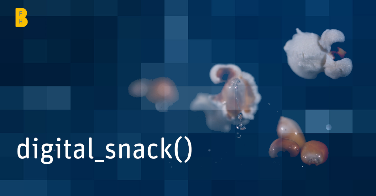 Digital Snack Digital Responsibility and Risk - Zwischen Ethik und Recht