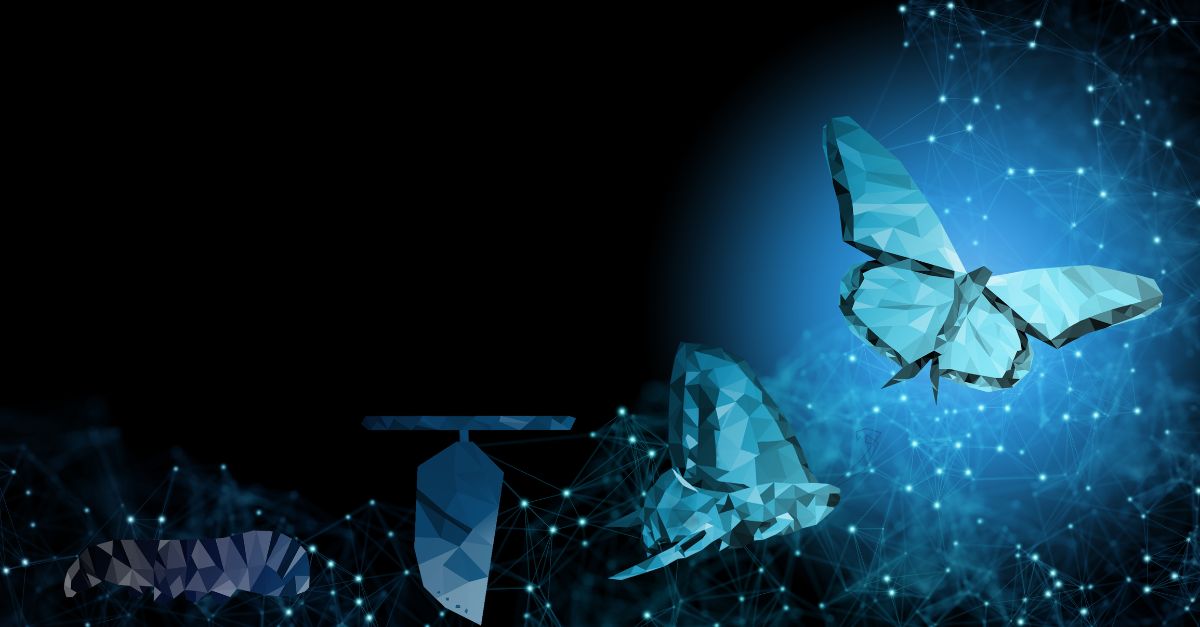 TRANSFORM 2025 | BFH Wirtschaft