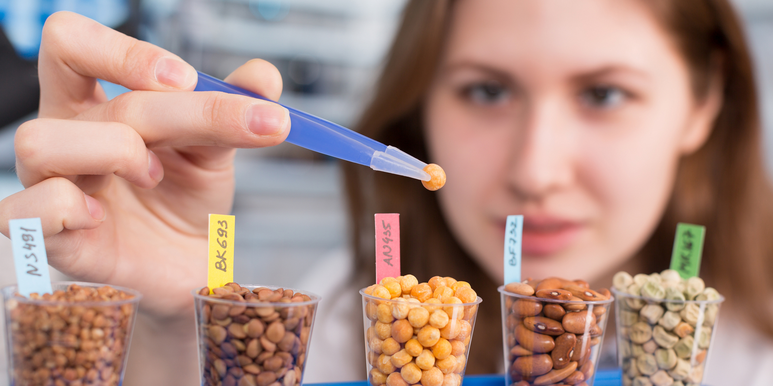 Master Life Sciences – Food, Nutrition and Health | BFH